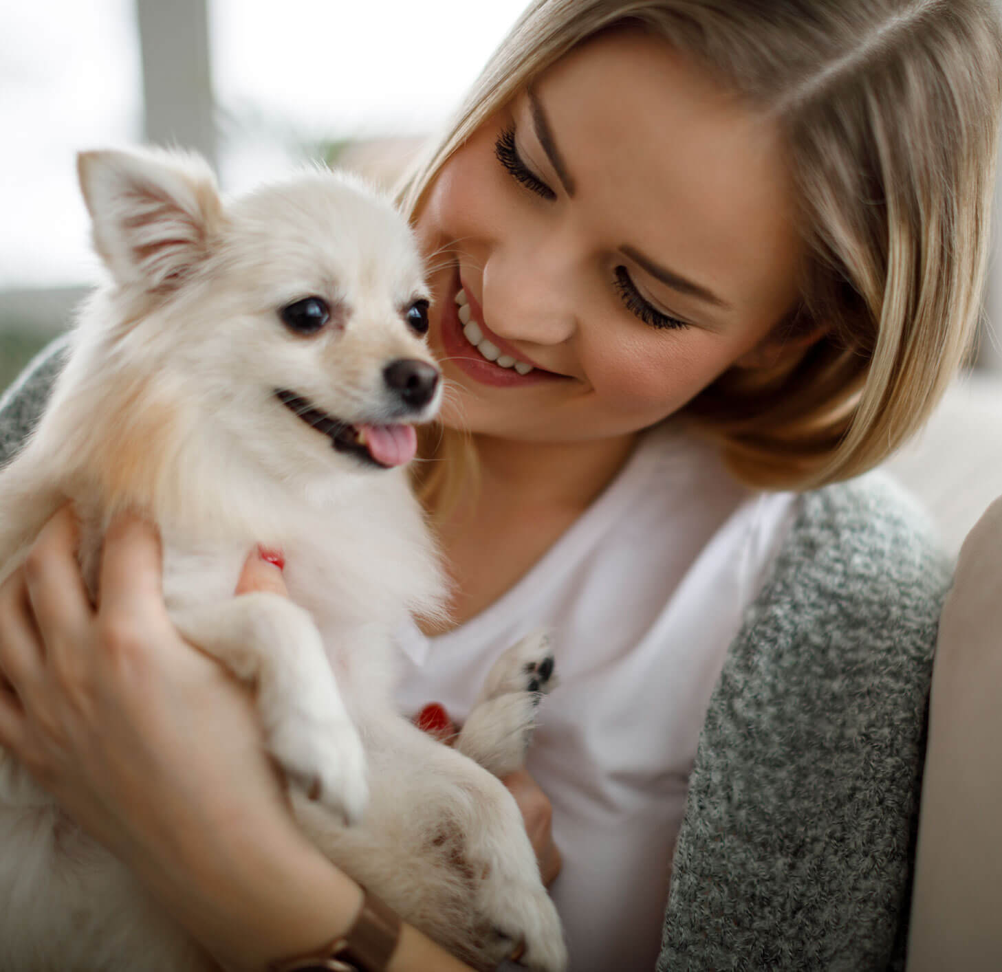 New & Existing Client Forms | Furever Family Veterinary Care Center